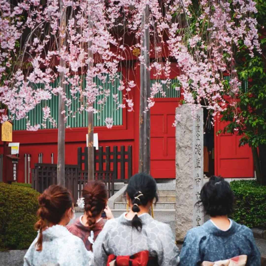 The Learning Adventure | Student Expedition Extras